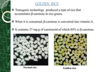 4. Applications of Biotechnology in Agriculture-II.pptx