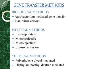 4. Applications of Biotechnology in Agriculture-II.pptx