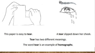 4. Understanding Homographs.pptx