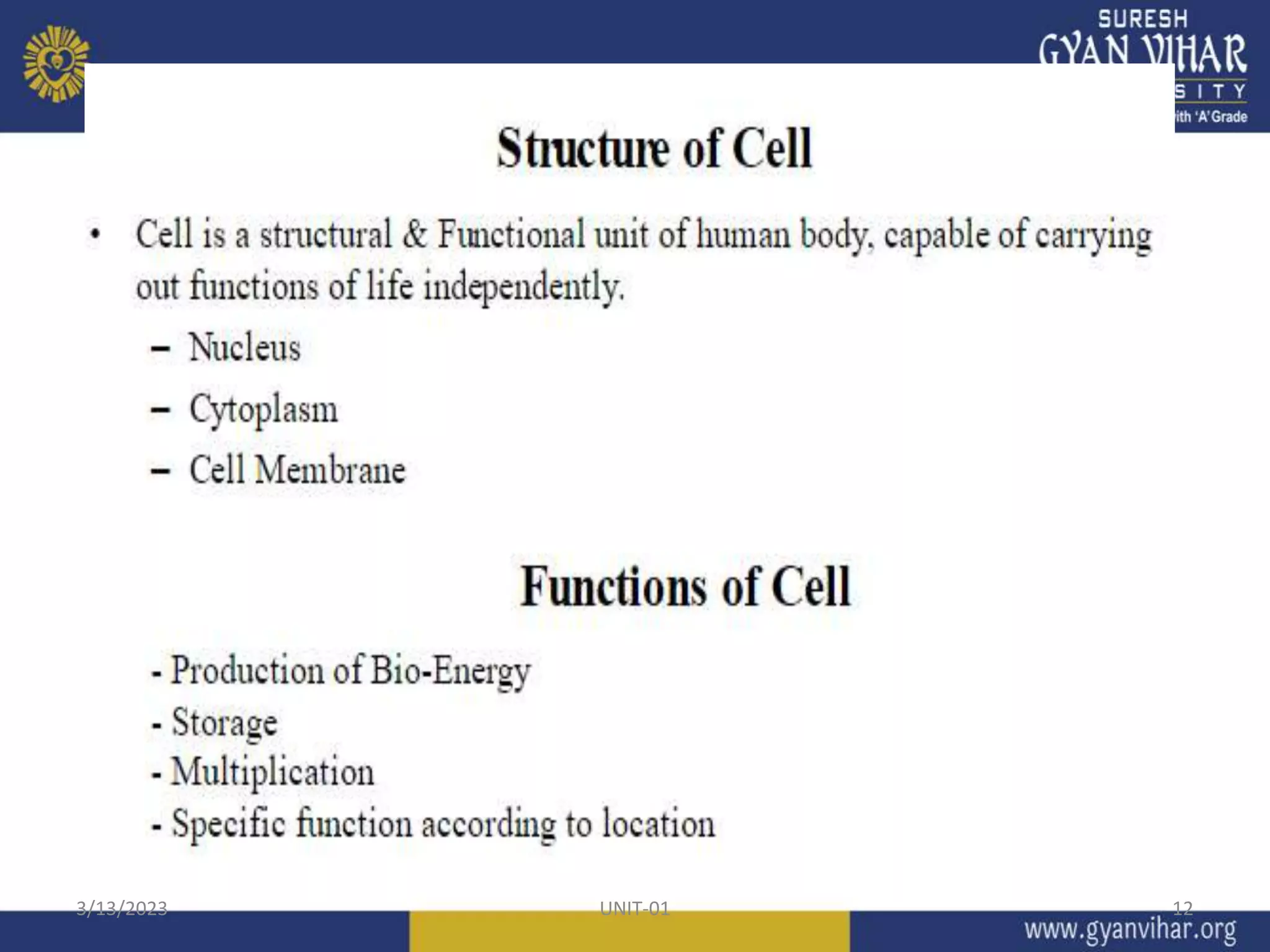 4. Cell Structure.pptx | Biological Sciences | Science