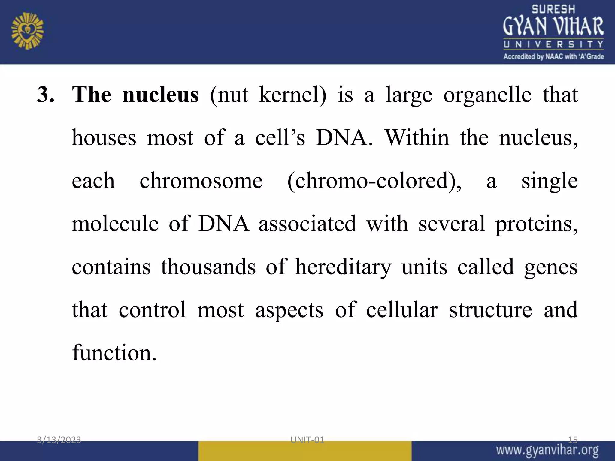 4. Cell Structure.pptx | Biological Sciences | Science