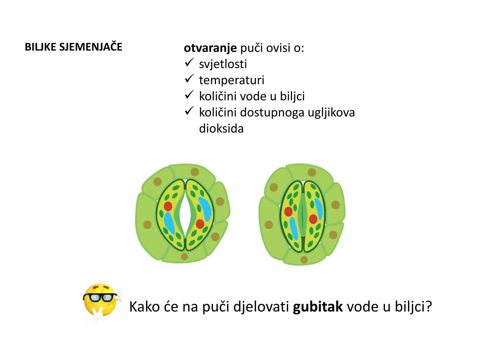 4.3._prijenos_tvari_kroz_tijelo_biljaka_i_ostalih_skupina_organizama.pptx