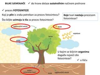 4.3._prijenos_tvari_kroz_tijelo_biljaka_i_ostalih_skupina_organizama.pptx