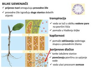 4.3._prijenos_tvari_kroz_tijelo_biljaka_i_ostalih_skupina_organizama.pptx