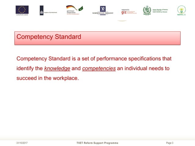 4. Competency Standard.pdf