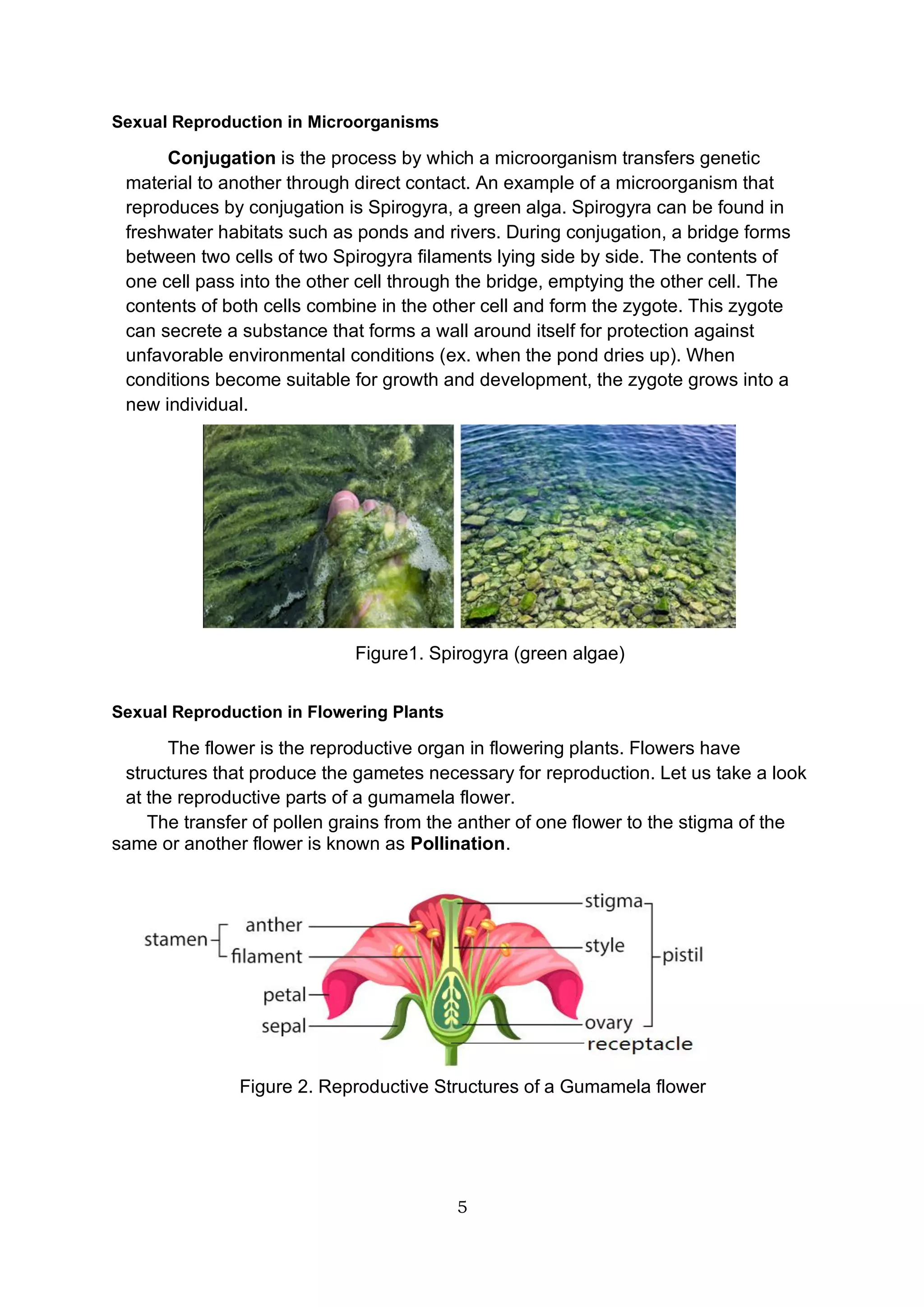 4. Grade-7-Q2-Module-4-Sexual-Reproduction-2nd-Ed.pdf