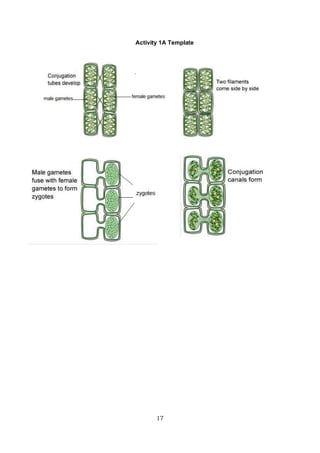 4. Grade-7-Q2-Module-4-Sexual-Reproduction-2nd-Ed.pdf
