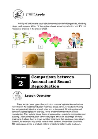 4. Grade-7-Q2-Module-4-Sexual-Reproduction-2nd-Ed.pdf
