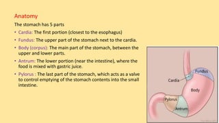 4. Gastric Cancer | PPTX