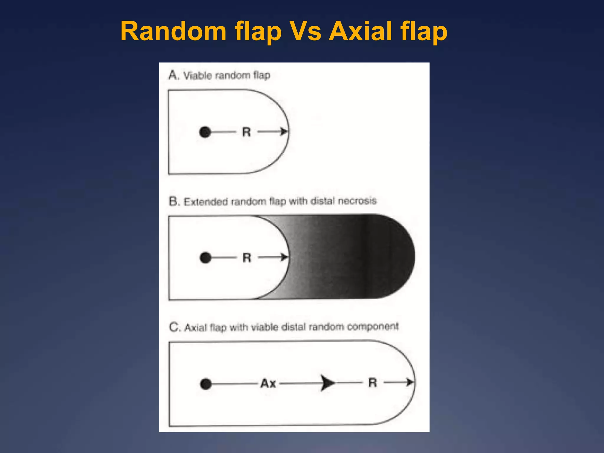 4. Flap Physiology.pptx | First Aid | Injuries