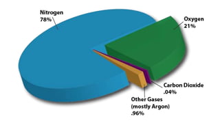 4.-The-Unique-Earth.pptx