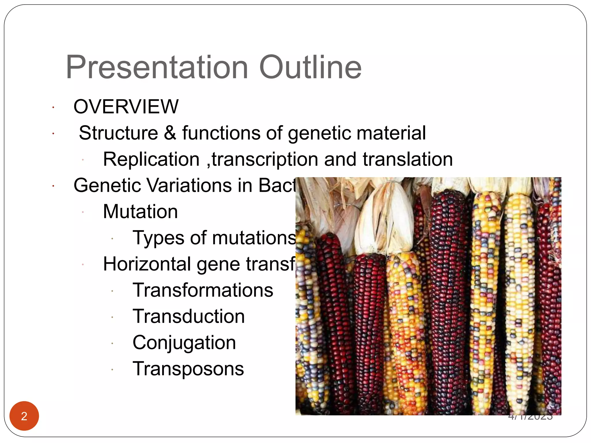 4.Bacterial Genetics.pptx