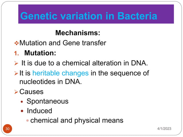 4.Bacterial Genetics.pptx | Chemistry | Science