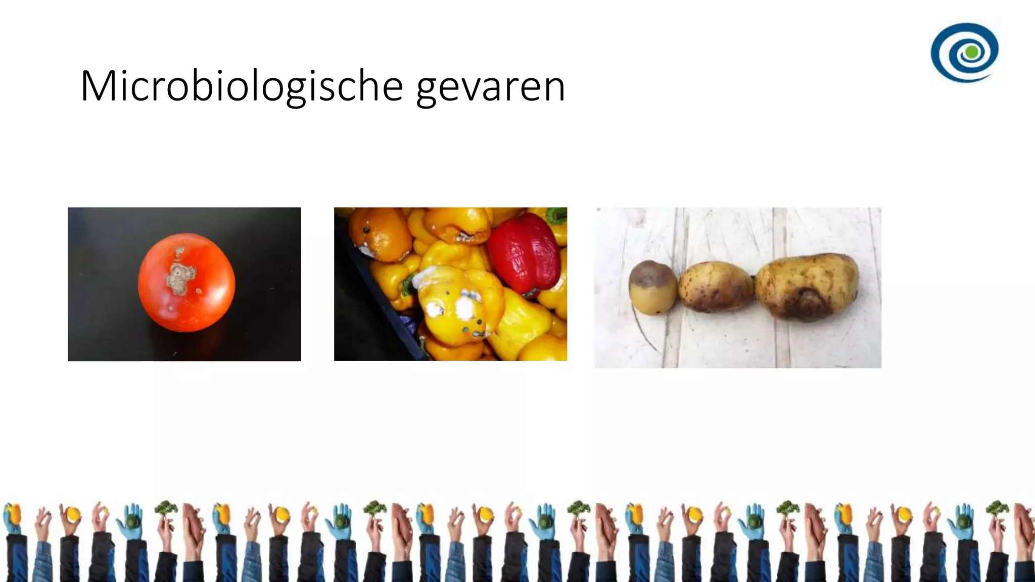 4. microbiologische gevaren.pptx