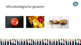 4. microbiologische gevaren.pptx