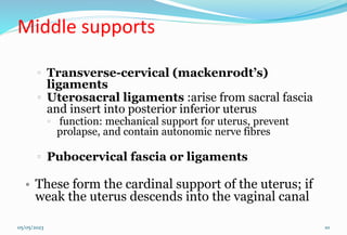 4.Female Reproductive anatomy.pptx