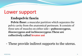 4.Female Reproductive anatomy.pptx