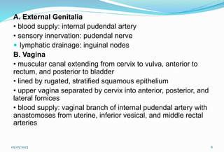 4.Female Reproductive anatomy.pptx
