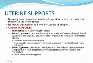 4.Female Reproductive anatomy.pptx