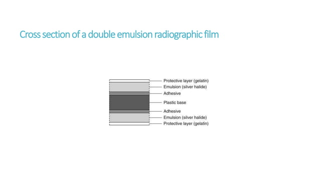 4. Dental X-Ray Film And Film Processing.pptx | Dental Health ...