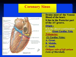 4. BLOOD SUPPLY OF HEART 1.pdf
