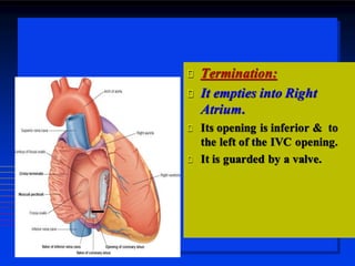 4. BLOOD SUPPLY OF HEART 1.pdf | Heart and Cardiovascular Diseases ...