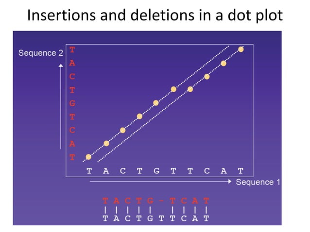 4. sequence alignment.pptx | Genetics | Science