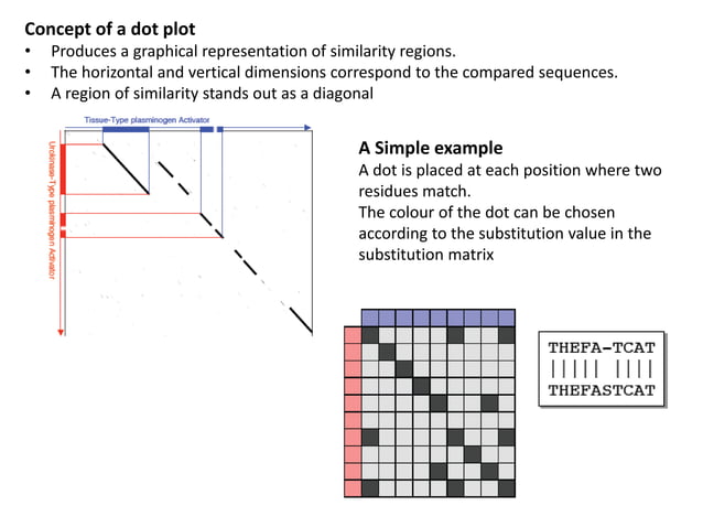 4. sequence alignment.pptx | Genetics | Science