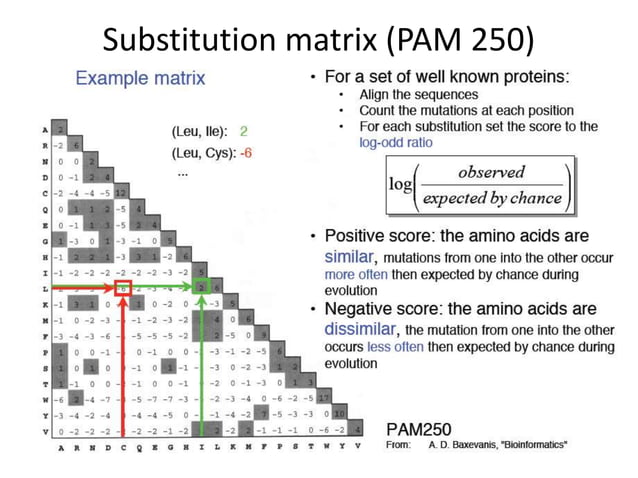 4. sequence alignment.pptx | Genetics | Science