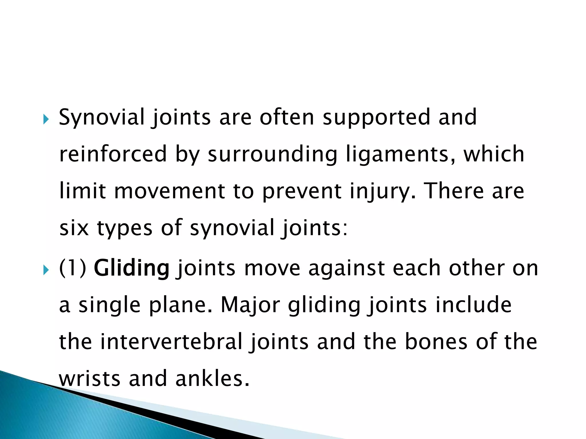 4. Joints,,Articulations.pptx