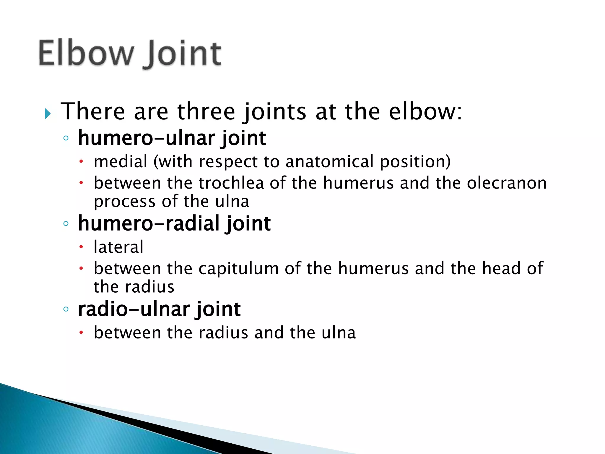 4. Joints,,Articulations.pptx