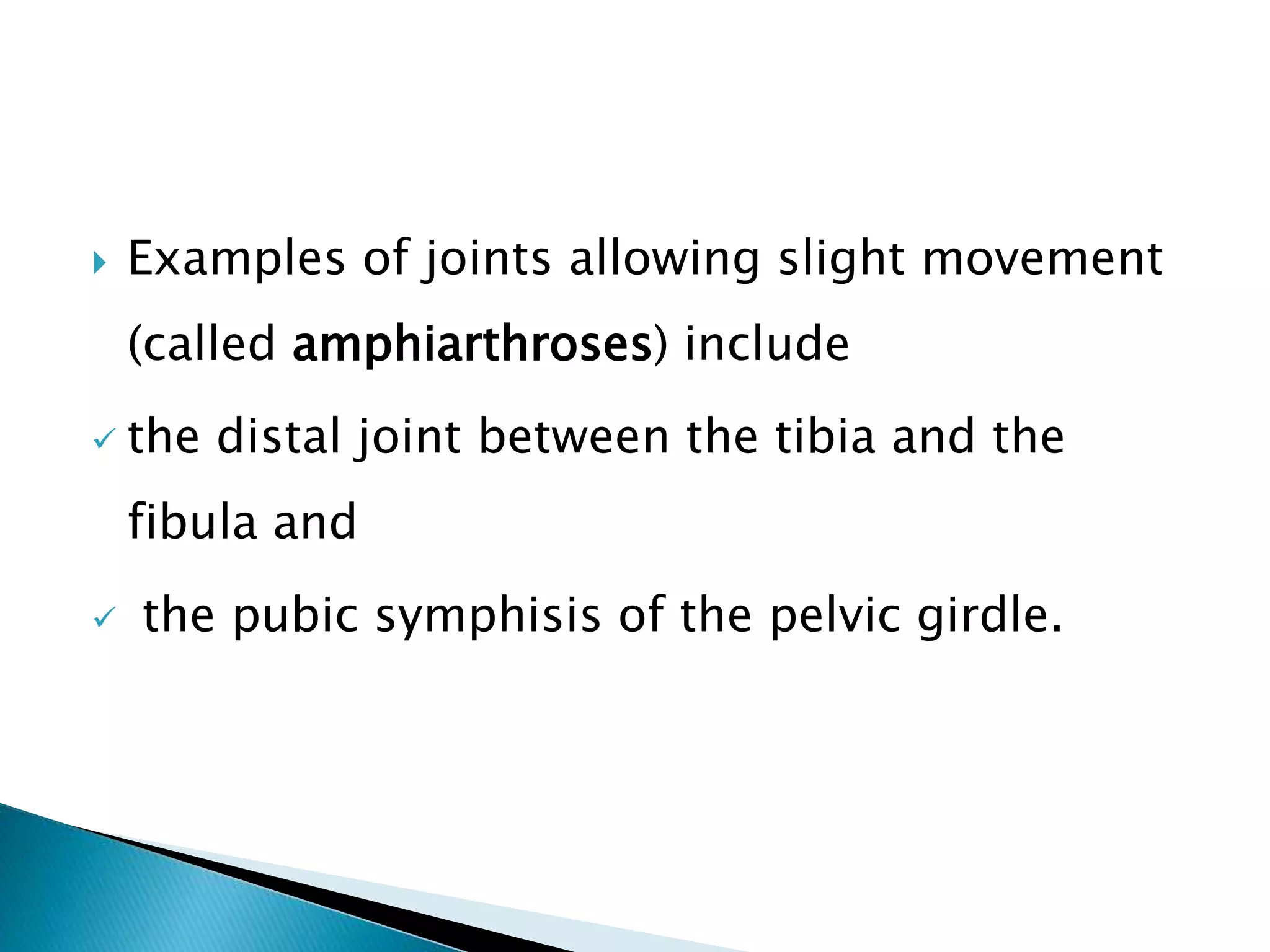 4. Joints,,Articulations.pptx