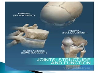 4. Joints,,Articulations.pptx