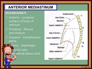 4.Mediastinum.pdf
