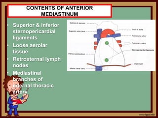 4.Mediastinum.pdf