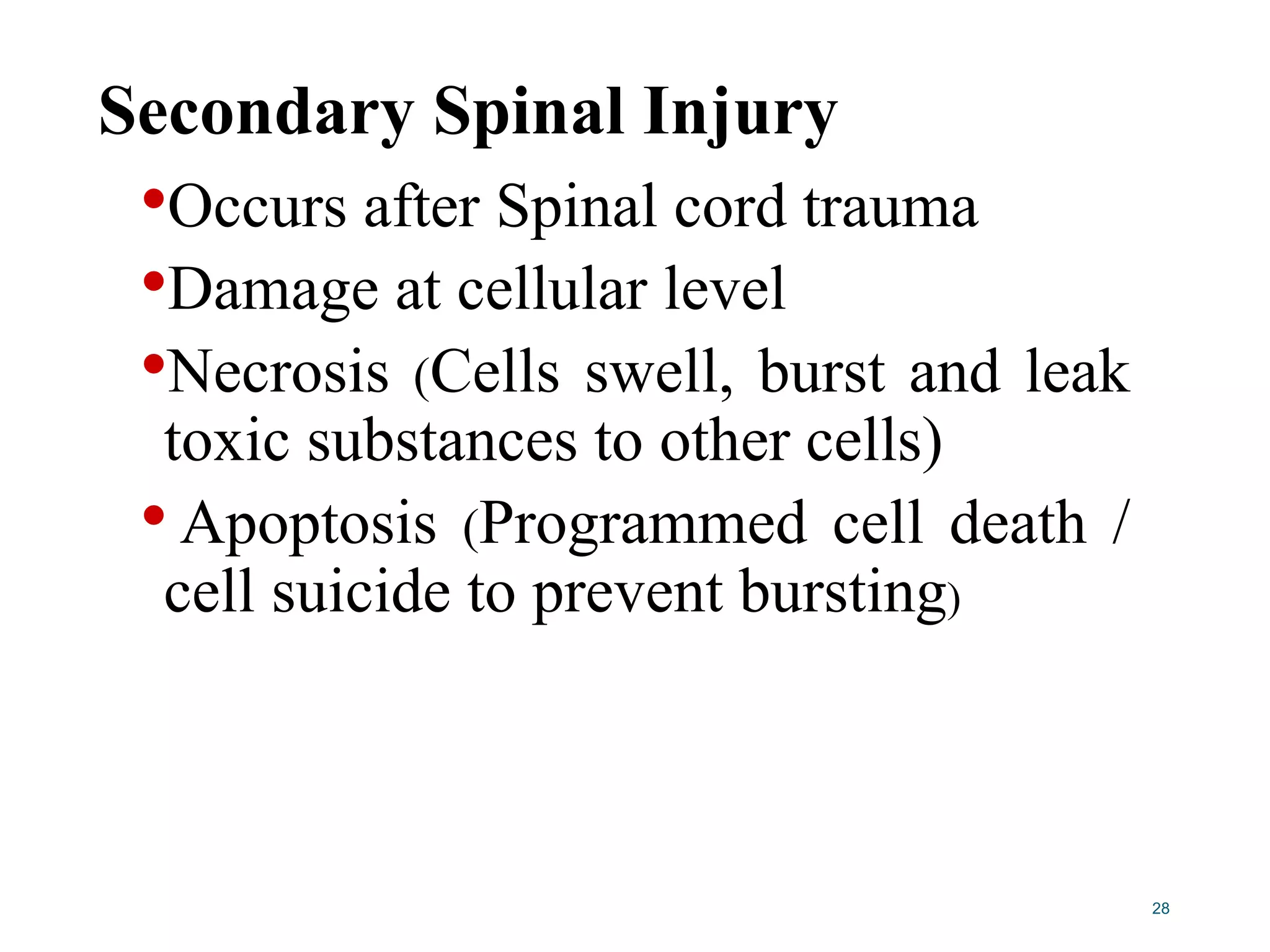 4. CNS Spinal cord injury.pptx