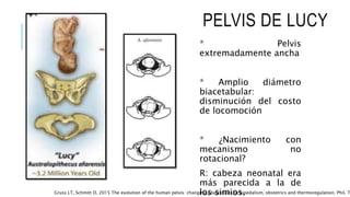 4.PELVIMETRIA (1).pptx