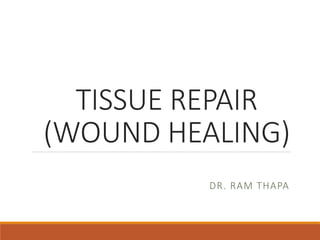 4.Wound Healing.pptx