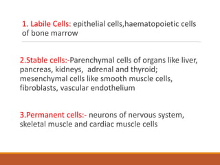 4.Wound Healing.pptx