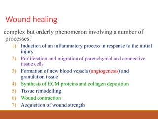 4.Wound Healing.pptx