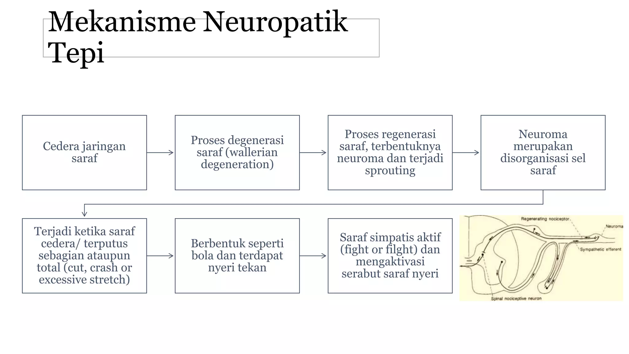 4. Nyeri Neuropatik.pptx