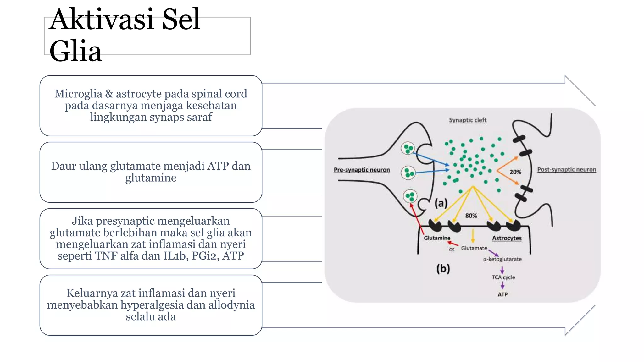 4. Nyeri Neuropatik.pptx