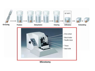 4. MICROTOMY.pptx
