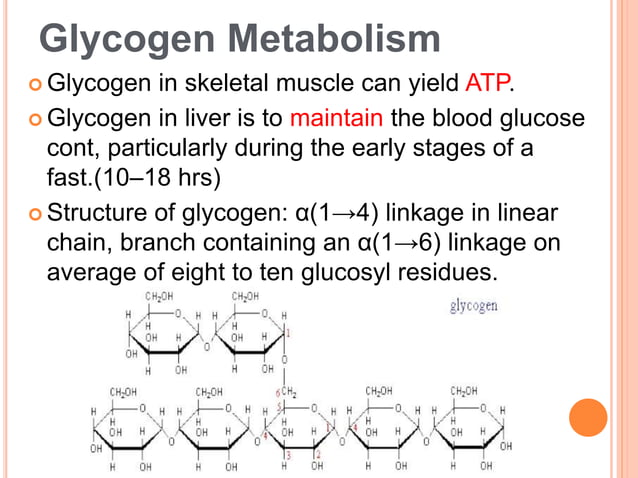 4.3 gluconeogenesis&glycogen&ppp.ppt
