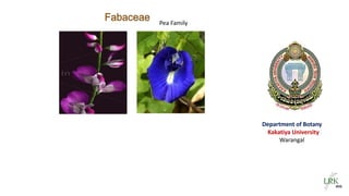 4. Fabaceae.pptx