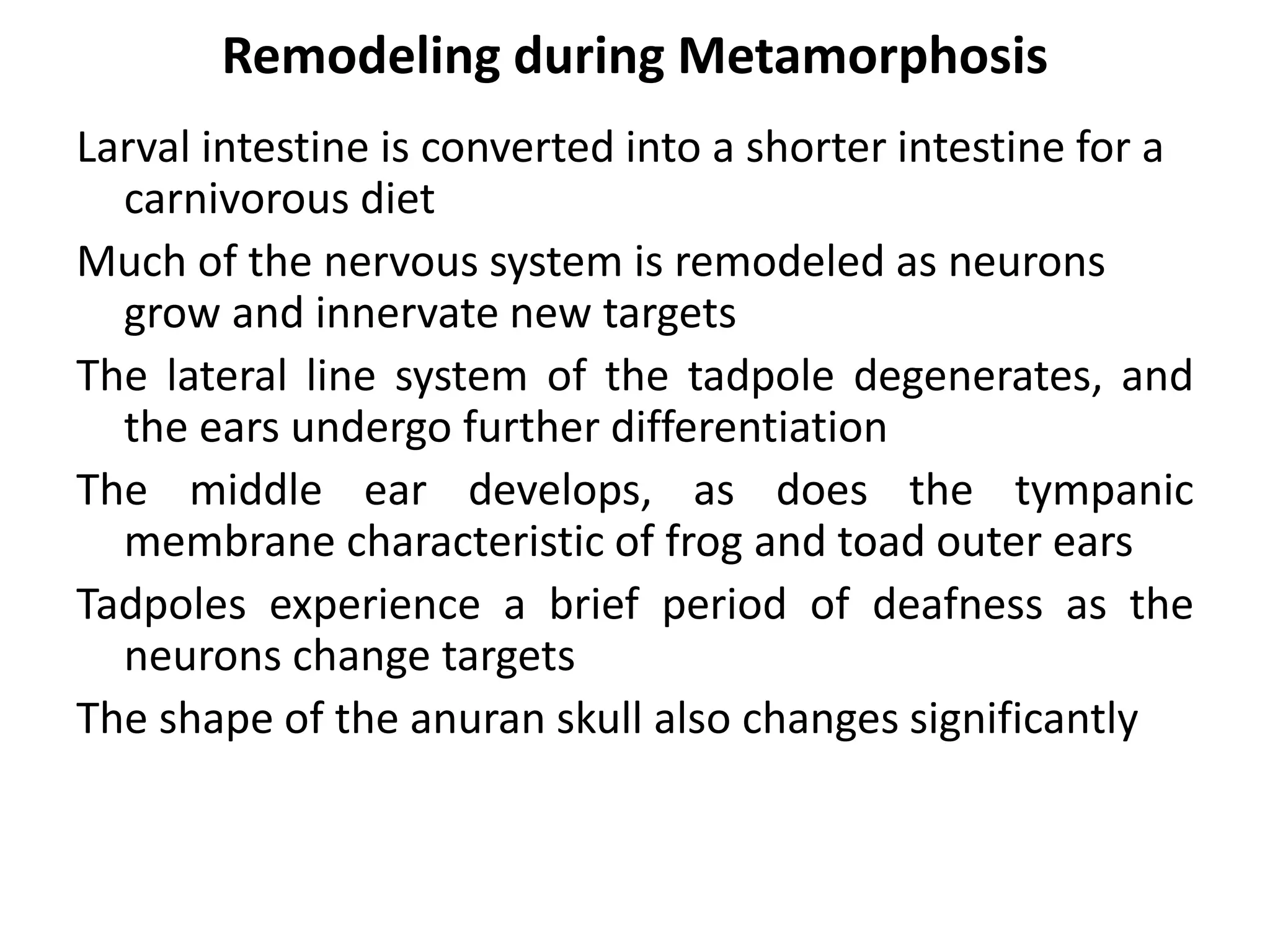 4.10.19_Amphibian_Metamorphosis.pdf