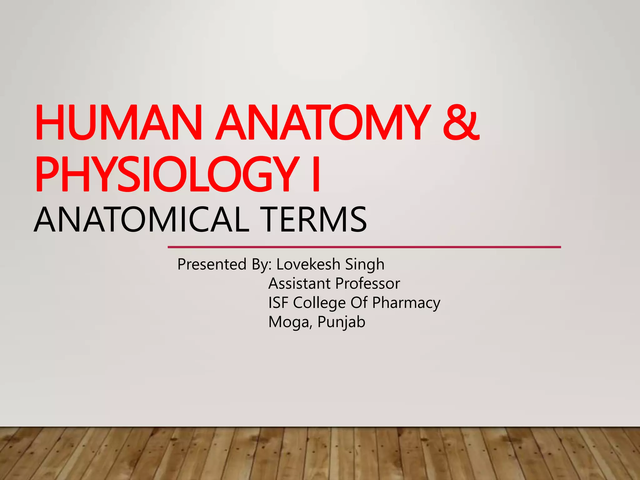 4. Anatomical terms.ppt