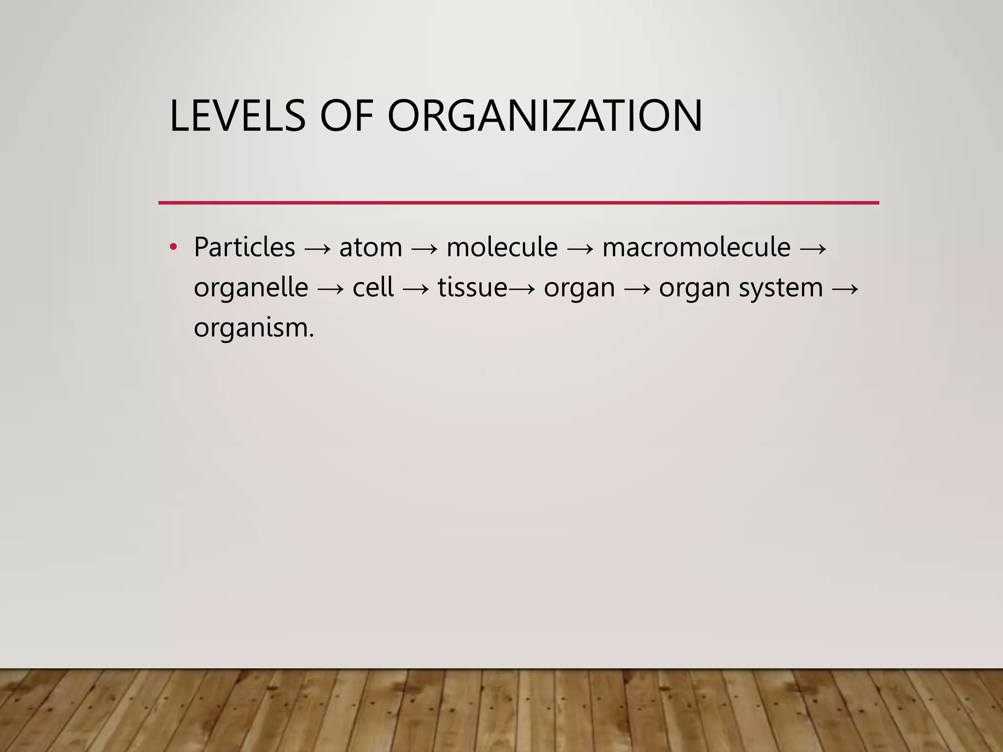4. Anatomical terms.ppt