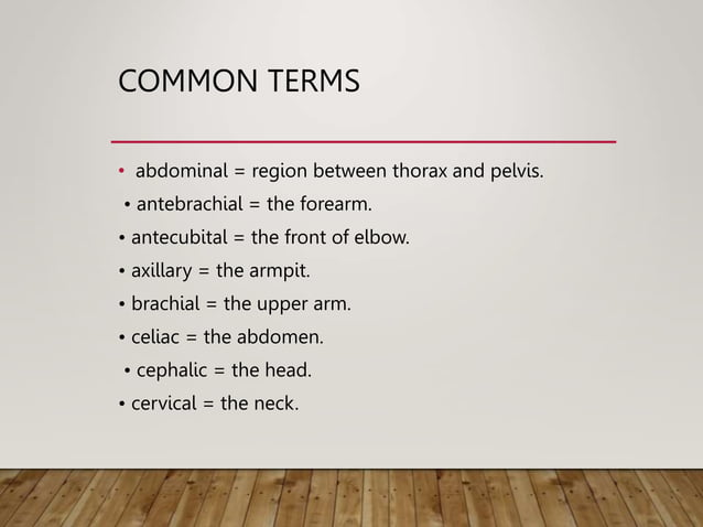 4. Anatomical terms.ppt