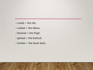 4. Anatomical terms.ppt